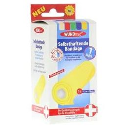 Axisis Bandage Selbsthaftend 10 cmx4,5 m farb.s 1 St