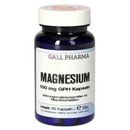 Magnesium 100 mg GPH Kapseln 60 St