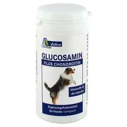 Avitale Glucosamin+Chondroitin für Hunde 60 St