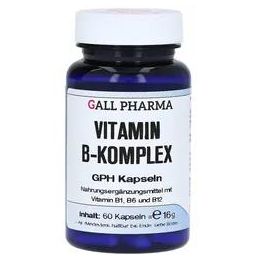 Hecht-Pharma Vitamin B Komplex GPH Kapseln 60 St