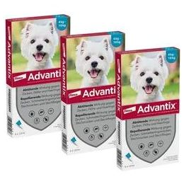 Advantix Spot-on Hunde 4-10 kg 3X4 St