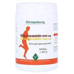 GLUCOSAMIN 500 mg + CHONDROITIN 400 mg 540 St