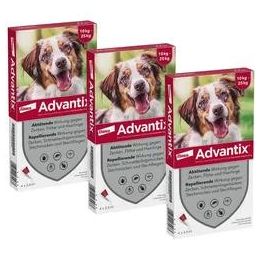 Advantix Spot-on Hunde 10-25 kg 3X4 St