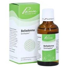 Pascoe Belladonna Similiaplex Mischung 50 ml