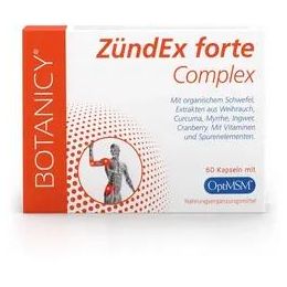 ZÜNDEX forte Complex 60 St