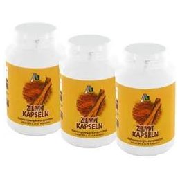 Avitale Zimt Kapseln 500 mg 3X120 St