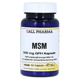 MSM 500 mg GPH Kapseln 60 St