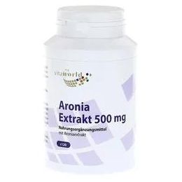 vitaworld Aronia Extrakt 500 mg Kapseln 120 St