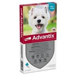 Advantix Spot-on Hunde 4-10 kg 4 St