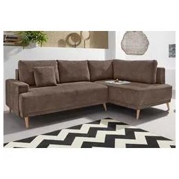 Ecksofa Inosign "Exxpo Otusso, L-Form" Sofas Gr. B/H/T: 246cm x 90cm x 169cm, Luxus-Microfaser weich, Recamiere rechts, braun (hellbraun) mit Bettfunktion und Bettkasten