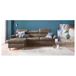 Ecksofa exxpo - SOFA FASHION "Maretto, bequem und komfortabel, L-Form", grau (delphin), B:257cm H:96cm T:167cm, Luxus-Microfaser (100% Polyester), Sofas, inkl. Kopf- bzw. Rückenverstellung, wahlweise mit Bettfunktion