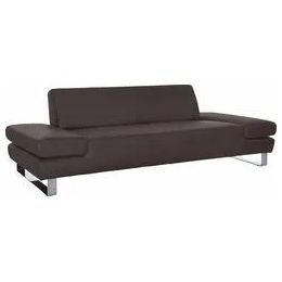 3-Sitzer W.Schillig "taboo" Sofas Gr. B/H/T: 232 cm x 76 cm x 91 cm, Longlife Xtra-Leder Z59, mit Armlehnenverstellung, braun (braun z59) mit Normaltiefe, inklusive Armlehnenverstellung