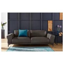 2,5-Sitzer W.Schillig "montanaa" Sofas Gr. B/H/T: 232 cm x 78 cm x 94 cm, Longlife Xtra-Leder Z59, braun (braun z59) mit Metallfüßen in Schwarz pulverbeschichtet, Breite 232 cm