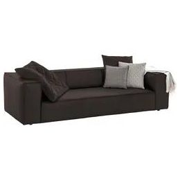 3-Sitzer W.Schillig "around-the-block" Sofas Gr. B/H/T: 260 cm x 66 cm x 104 cm, Longlife Xtra-Leder Z59, braun (braun z59) mit eleganter Biese, Federkern