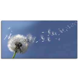 Wandbild Artland "Pusteblume" Bilder Gr. B/H: 100 cm x 50 cm, Leinwandbild Blumen Querformat, 1 St., blau Kunstdrucke als Alubild, Outdoorbild, Leinwandbild, Poster in verschied. Größen