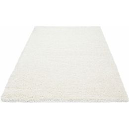 Hochflor-Teppich Ayyildiz Teppiche "Dream Shaggy" Teppiche Gr. B/L: 200 cm x 290 cm, 50 mm, 1 St., beige (creme) Esszimmerteppiche Wohnzimmer