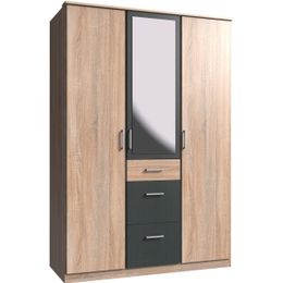 Kleiderschrank wimex "Click" Schränke Gr. B/H/T: 135 cm x 199 cm x 58 cm, 3 St., grau (struktureichefarben hell, graphitfarben) Drehtürenschrank Kleiderschrank Drehtürenschränke Schränke mit Spiegel