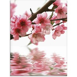 Glasbild Artland "Pfirsichblüten reflektieren im Wasser" Bilder Gr. B/H: 45 cm x 60 cm, Glasbild Blumen, 1 St., pink Glasbilder in verschiedenen Größen