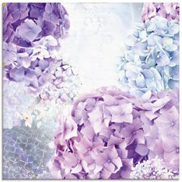 Glasbild Artland "Blau und Pink Hortensie" Bilder Gr. B/H: 50 cm x 50 cm, Glasbild Blumen quadratisch, 1 St., lila (blau) Glasbilder in verschiedenen Größen