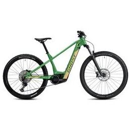 E-Bike GHOST "E-Teru B Advanced" E-Bikes Gr. 38cm, 29 Zoll (73,66cm), grün (beige, khaki, schwarz) Pedelec, Elektrofahrrad für Damen u. Herren, MTB