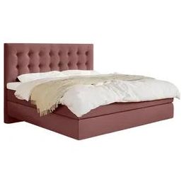 Boxspringbett Schlaraffia "Everton" Komplettbetten Gr. Webstoff FUTURE, Liegefläche B/L: 140cm x 200cm, H2, 7-Zonen-Tonnentaschen-Federkernmatratze, rosa (blossom) Boxspringbett inklusive BULTEX-Topper, Fuß in Schwebeoptik