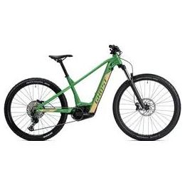 E-Bike GHOST "E-Teru B Advanced" Gr. 43, grün (beige, khaki, schwarz), E-Bikes, 43cm, 29 Zoll (73,66cm), Pedelec, Elektrofahrrad für Damen u. Herren, MTB