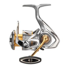 Daiwa 21 Freams LT 2500 Spinnrolle