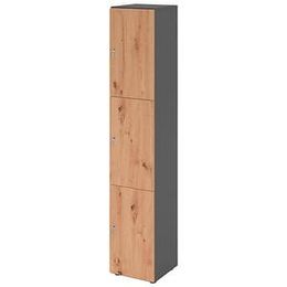 Hammerbacher Schließfachschrank grafit, asteiche V264L3/G/R/DS, 3 Schließfächer 40,0 x 42,0 x 215,6 cm