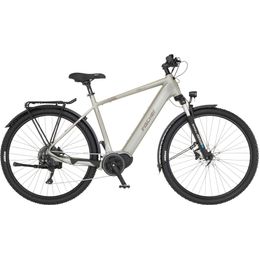 FISCHER BIKE E-Bike FISCHER FAHRRAD "TERRA 4.0i 55" E-Bikes Gr. 55 cm, 29 Zoll (73,66 cm), grau Pedelec, Elektrofahrrad für Damen u. Herren, ATP