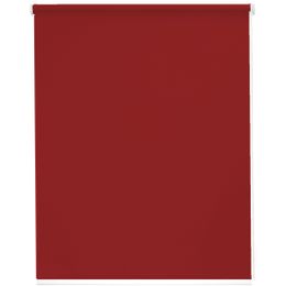 Seitenzugrollo SUNLINES "Young Style Blackout" Rollos Gr. 180 cm, stufenlos positionierbar, Bedienseite rechts, 202 cm, rot (rot, weiß) Kinder Kinderzimmer-Rollos
