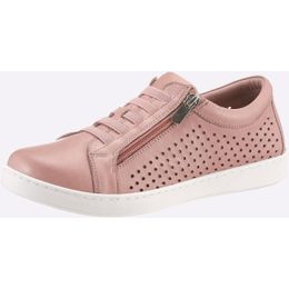 Andrea Conti Sneaker