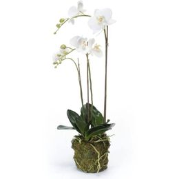 Emerald - Künstliche Phalaenopsis-Orchidee Weiß 70 cm