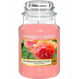 623g - Sun-Drenched Apricot Rose - Housewarmer Duftkerze großes Glas - yankee candle