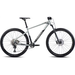 Mountainbike GHOST "Kato Pro AL" Fahrräder Gr. 48 cm, 29 Zoll (73,66 cm), grau Hardtail für Damen und Herren, Kettenschaltung