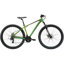 Mountainbike Bikestar Fahrräder Gr. 43cm, 29 Zoll (73,66cm), grün für Damen und Herren, Kettenschaltung