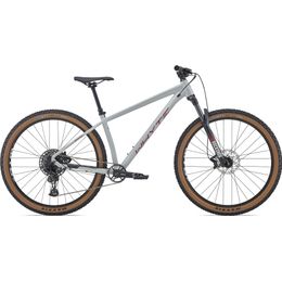 Mountainbike WHYTE BIKES "529" Fahrräder Gr. 48cm, 29 Zoll (73,66cm), grau für Damen und Herren, Kettenschaltung