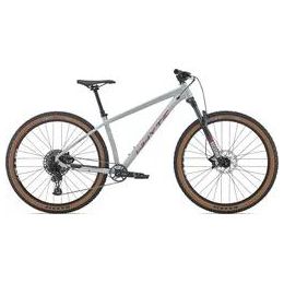 Mountainbike WHYTE BIKES "529" Fahrräder Gr. 48cm, 29 Zoll (73,66cm), grau für Damen und Herren, Kettenschaltung