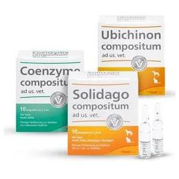 Heel Solidago+ Ubichinon+ Coenzyme ad us vet 3X10 St