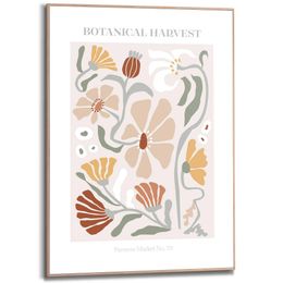 SONSTIGE Bild BOTANICAL HARVEST