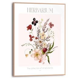 SONSTIGE Bild HERBARIUM (BHT 30x40x1,60 cm)