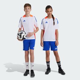 Adidas Tiro 24 Competition Kids Trainingsshorts