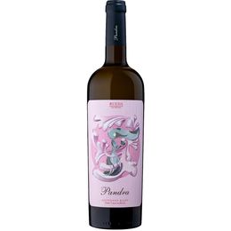 Bodegas Pandora Pandra Crianza Rueda DO Sauvignon Blanc 2021 Trocken - Kastilien und León – Weißwein DOP