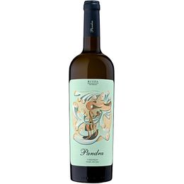 Bodegas Pandora Pandra Rueda DO Verdejo 2023 Trocken - Kastilien und León – Weißwein DOP