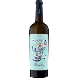 Bodegas Pandora Pandra Rueda DO Sauvignon Blanc 2023 Trocken - Kastilien und León – Weißwein DOP