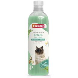 beaphar - Shampoo für Katzen - 250 ml