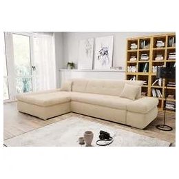 Ecksofa DOMO collection "Moric B/T/H 300/172/80 cm, auch in Cord, L-Form" Sofas Gr. B/H/T: 300cm x 80cm x 172cm, Cord, Recamiere links, ohne Funktion, beige (creme) XXL-Format, wahlweise auch mit Bettfunktion und Armverstellung