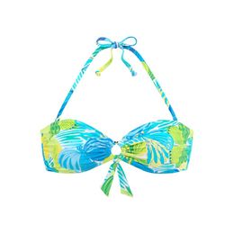 Sunseeker Bikini Top female Blue size 34