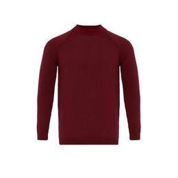 Dandalo Sweater male Red size M