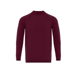 Dandalo Pullover Herren Gr&ouml;&szlig;e S bordeaux