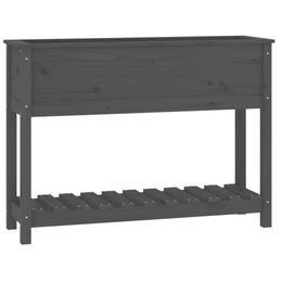 vidaXL Blumentopf Pflanzkübel mit Ablage Grau 111,5x34,5x81 cm Massivholz Kiefer (1 St)